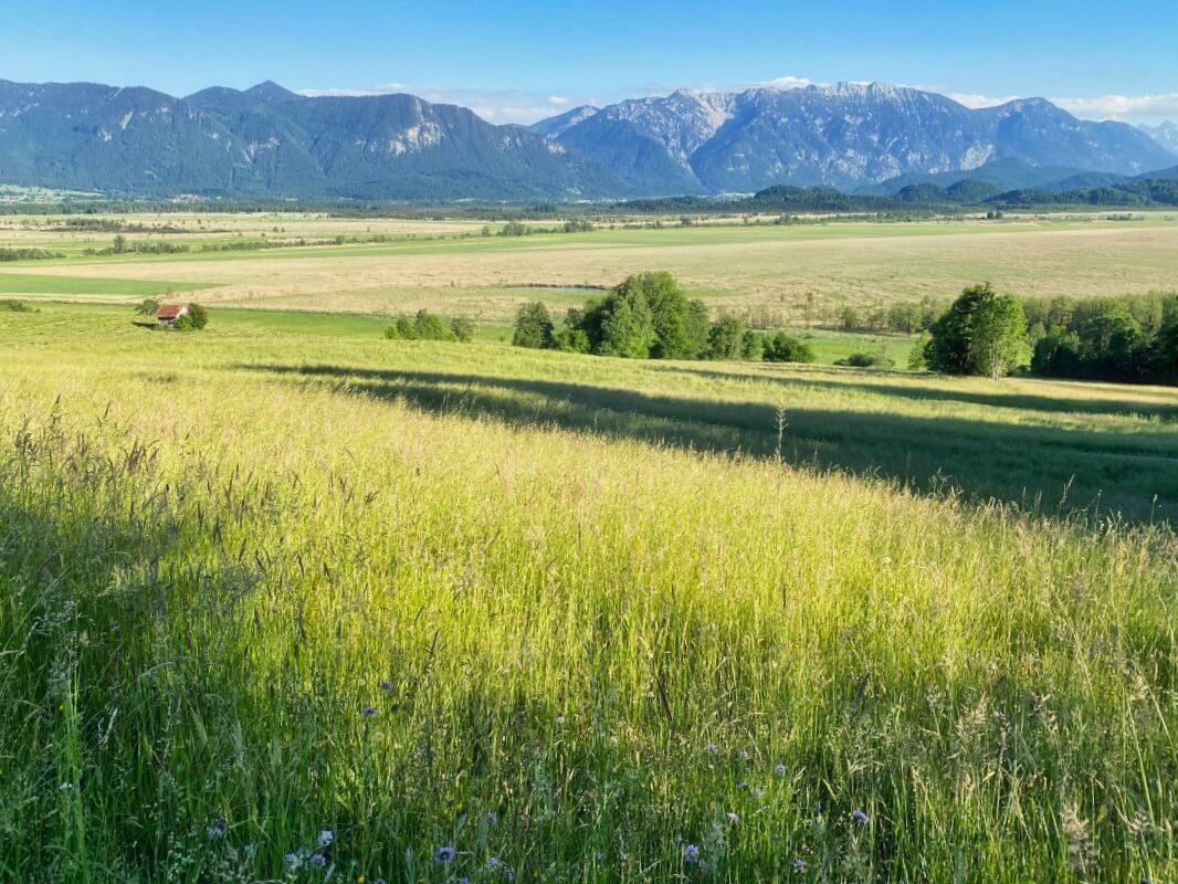 Wanderung Durchs Murnauer Moos